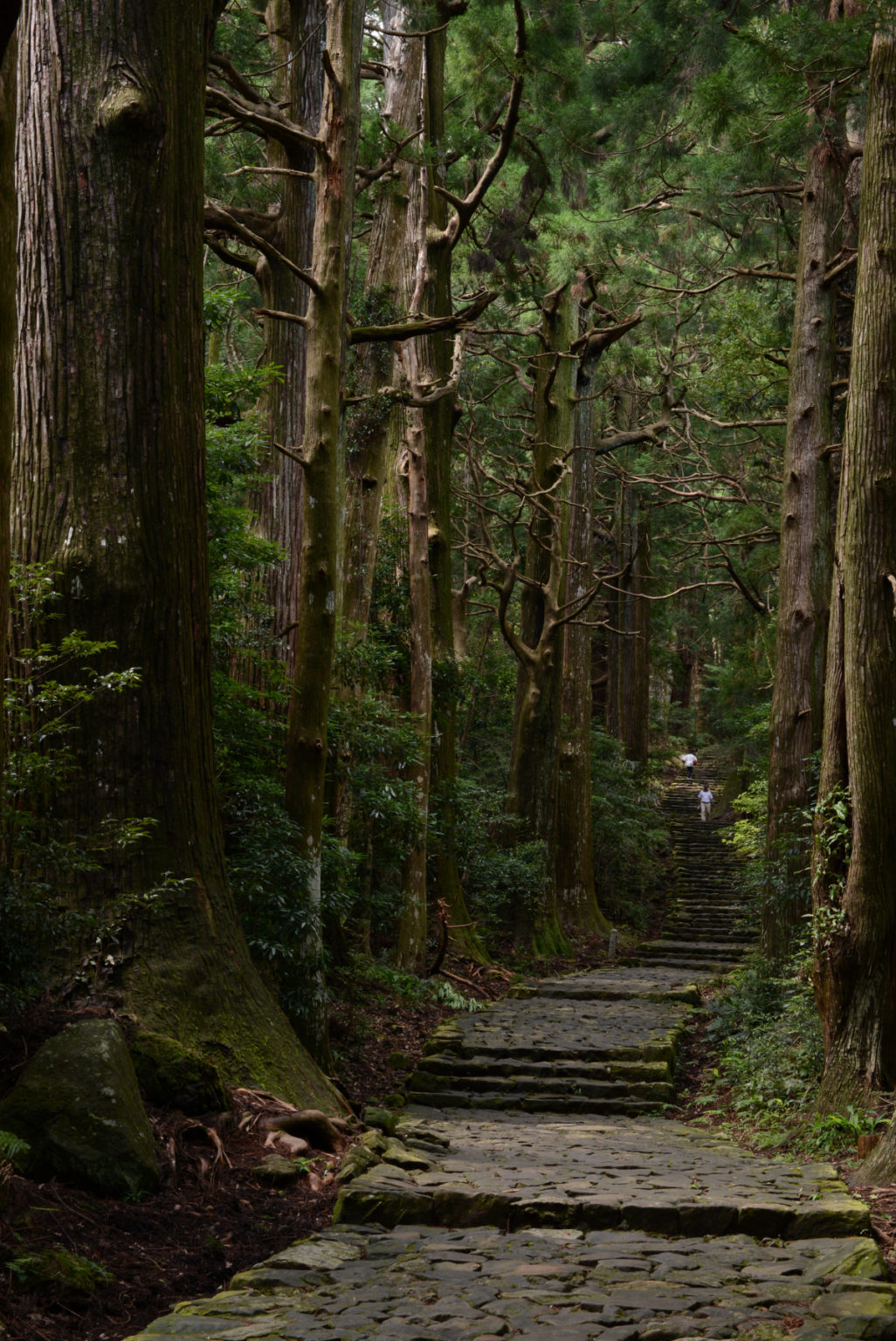 TAMBI – The tasteful of Japanese crafts and art